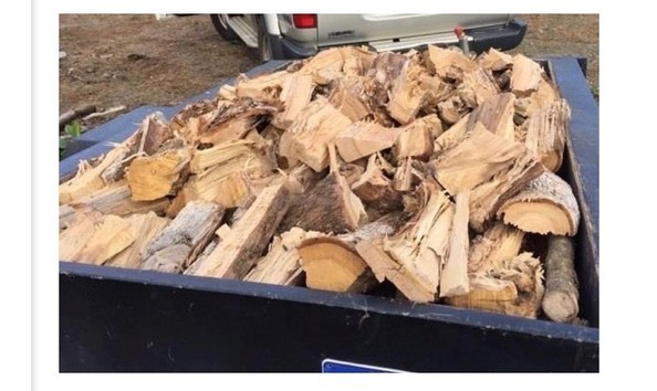 Trailer load of firewood
