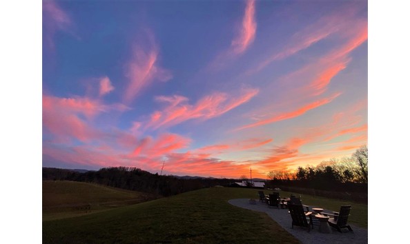 Private Marked Tree Vineyard Tour and Tasting for 10