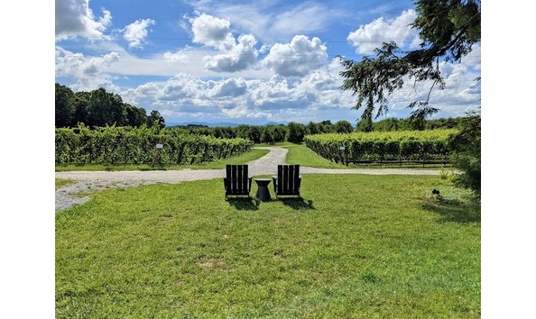 Private Marked Tree Vineyard Tour and Tasting for 10