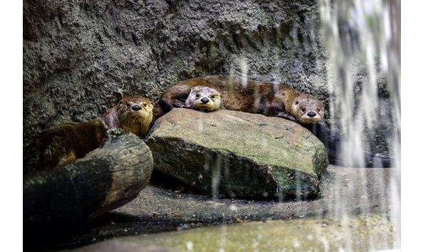 Tygart Lake Adventure