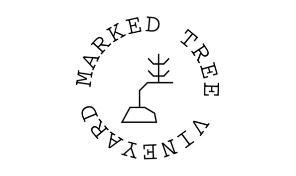 Private Marked Tree Vineyard Tour and Tasting for 10