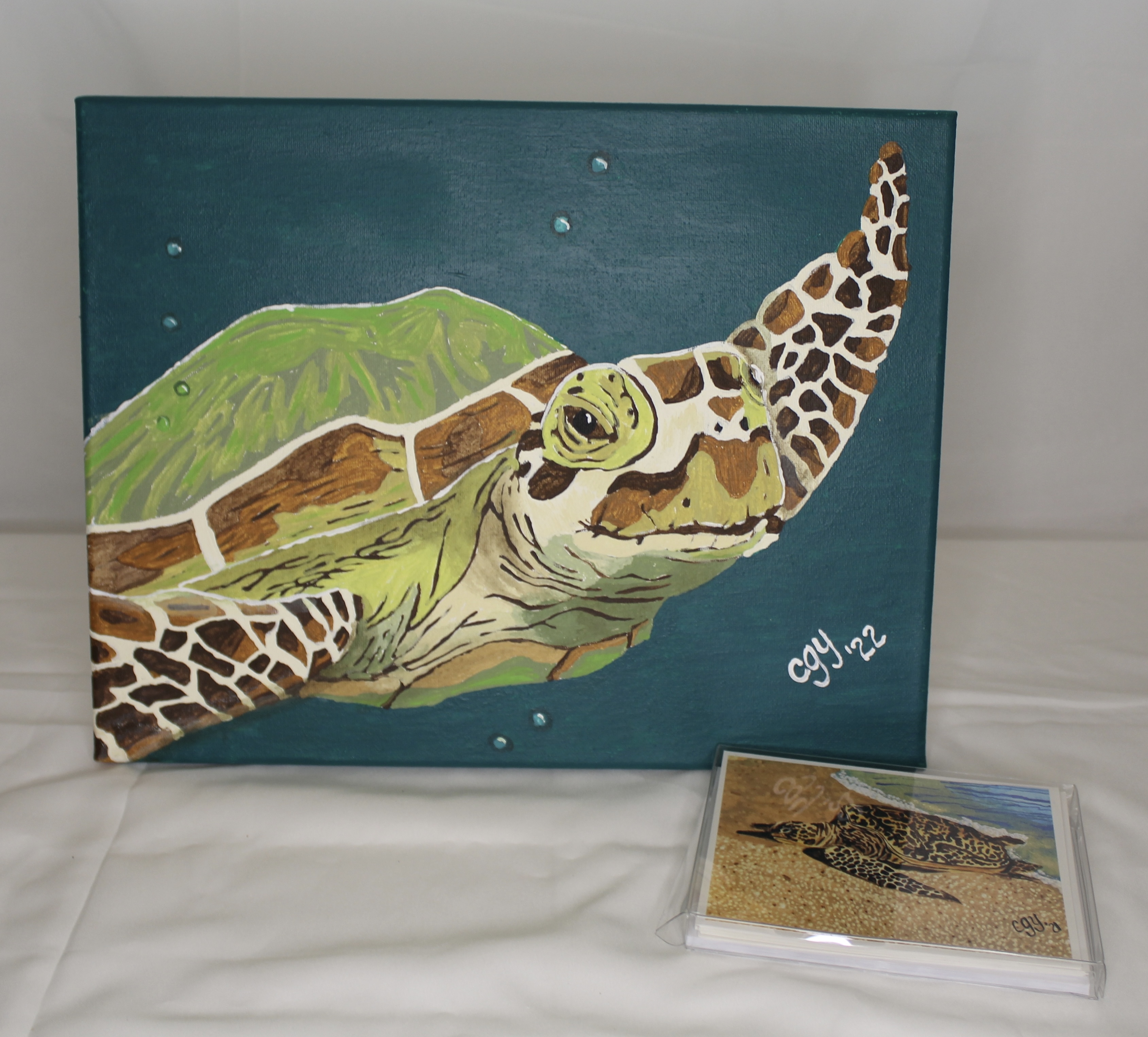 Hand Painted Turtle Canvas and notecards