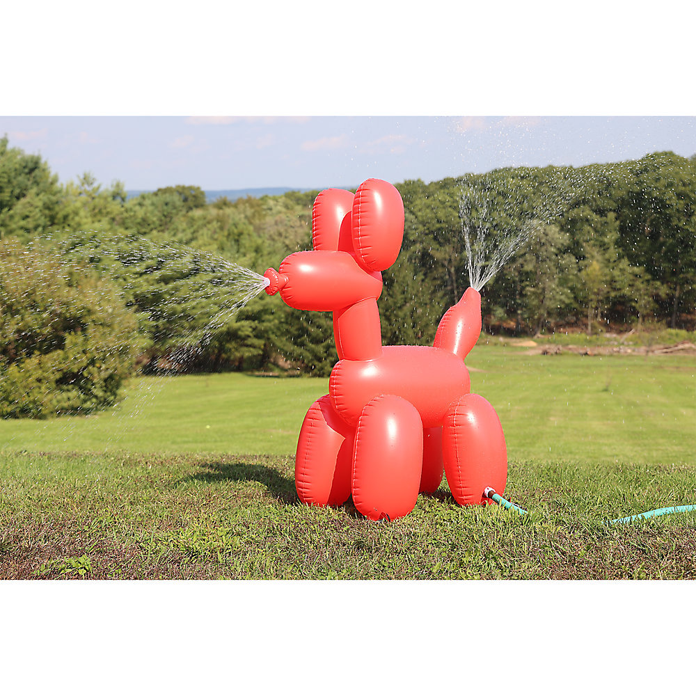 Lil Balloon Dog Pet Sprinkle and Doggy Pool