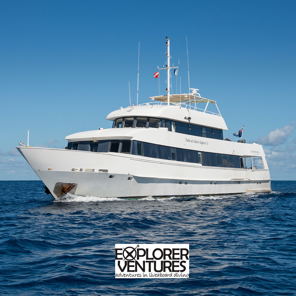 Turks & Caicos 7-night Scuba Diving Liveaboard Excursion Aboard the ...