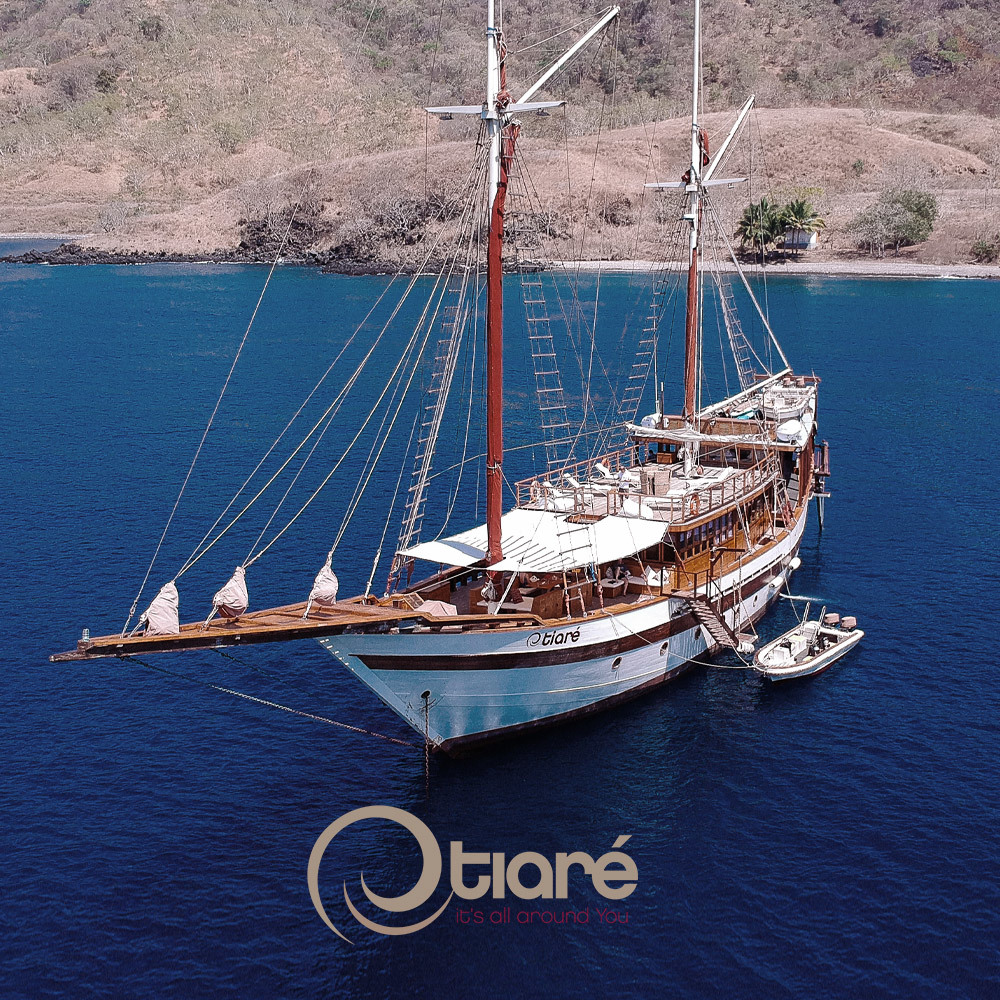 Indonesia- Stunning Diving Aboard the Beautiful Tiare Liveaboard