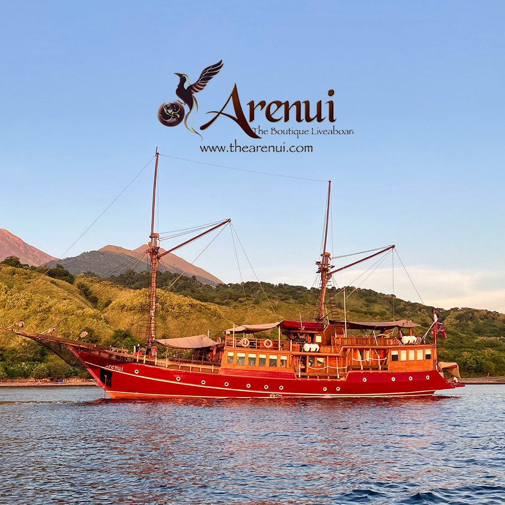 Indonesia- 11 Nights of Luxury Aboard The Arenui in Komodo