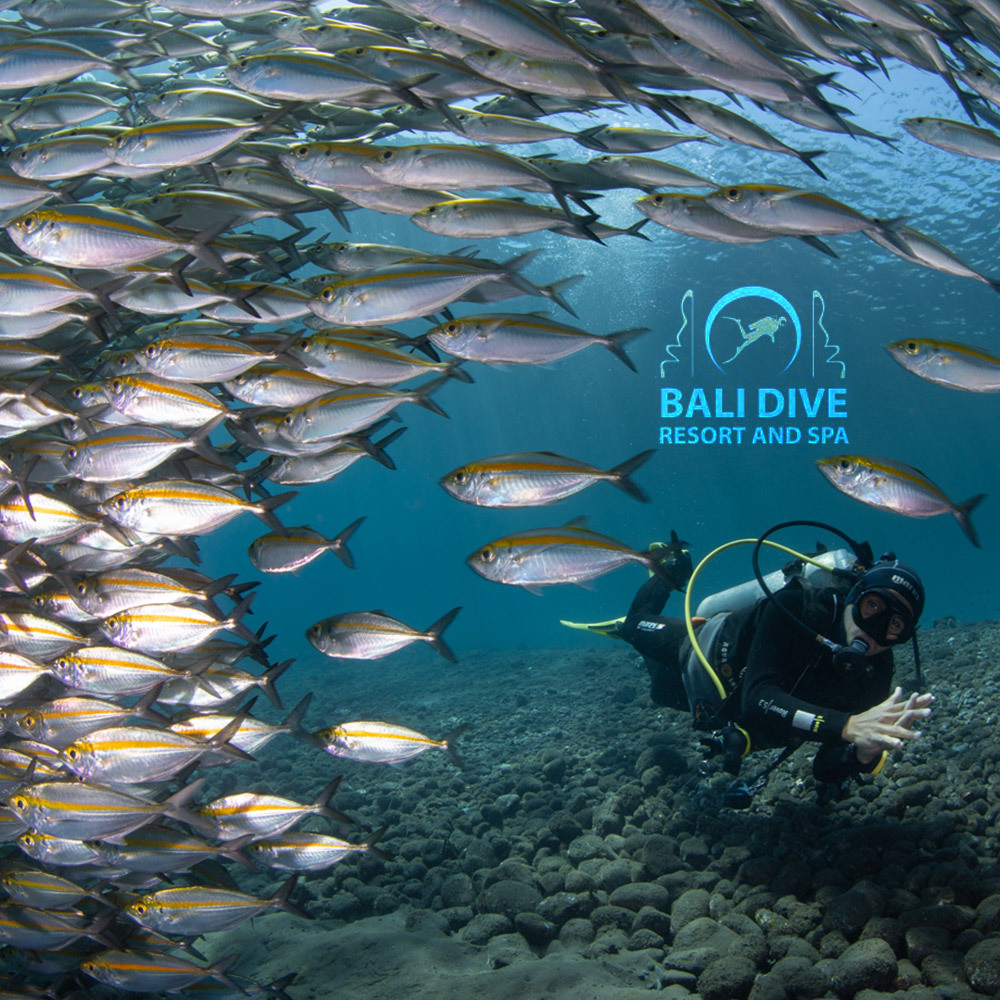 Indonesia- Bali Getaway for 2 at Bali Dive Resort and Spa