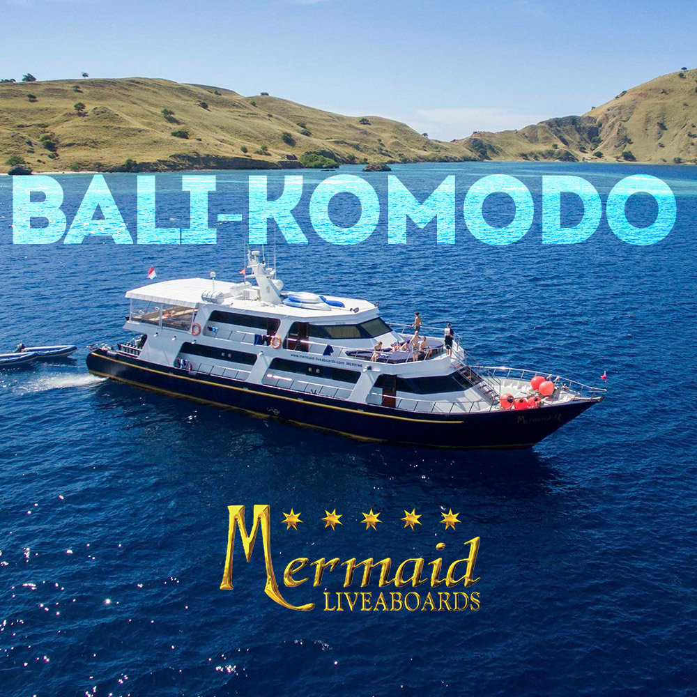 Indonesia - 7 Nights of Diving Luxury Aboard the M/V Mermaid II