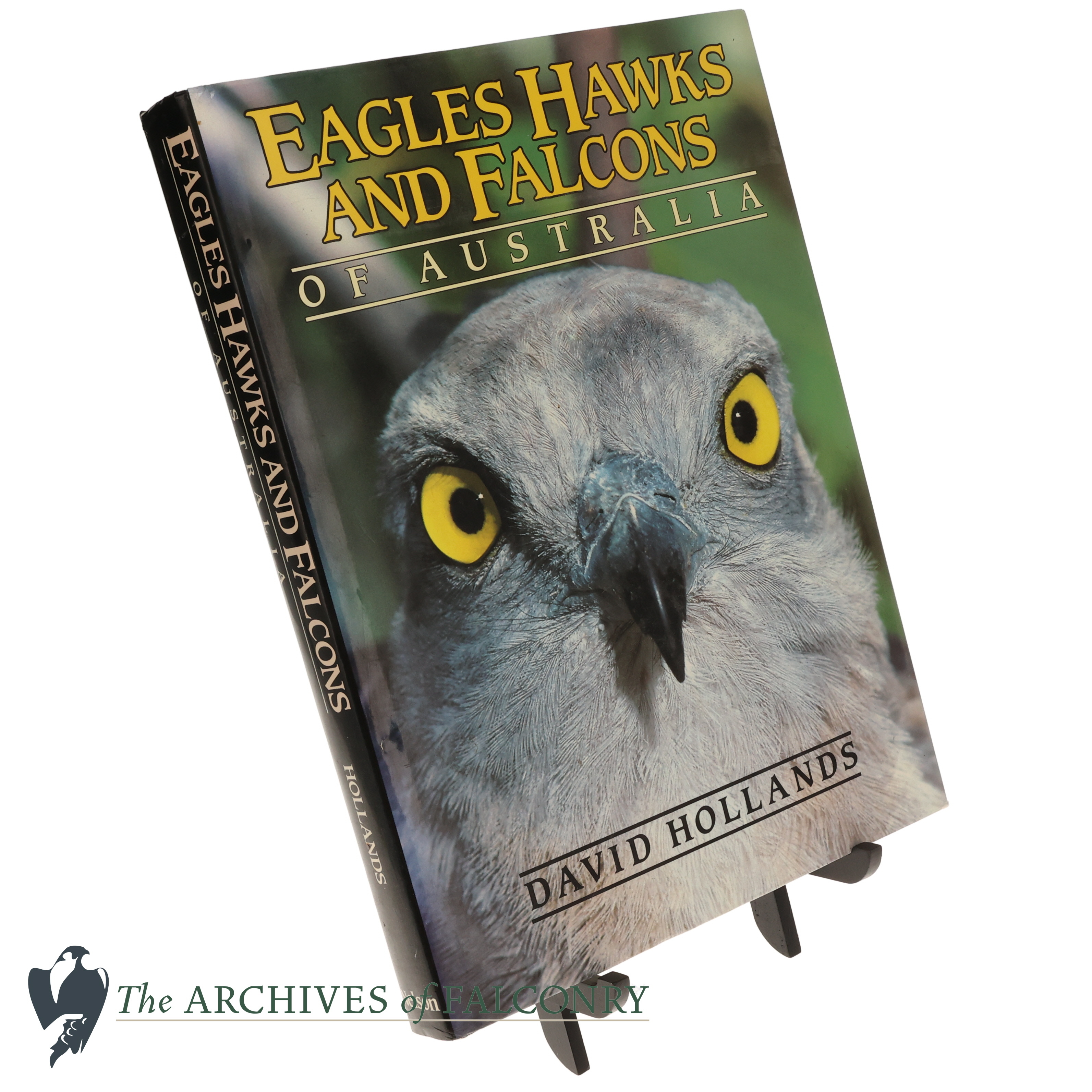 Eagles Hawks and Falcons of Australia by David Hollands