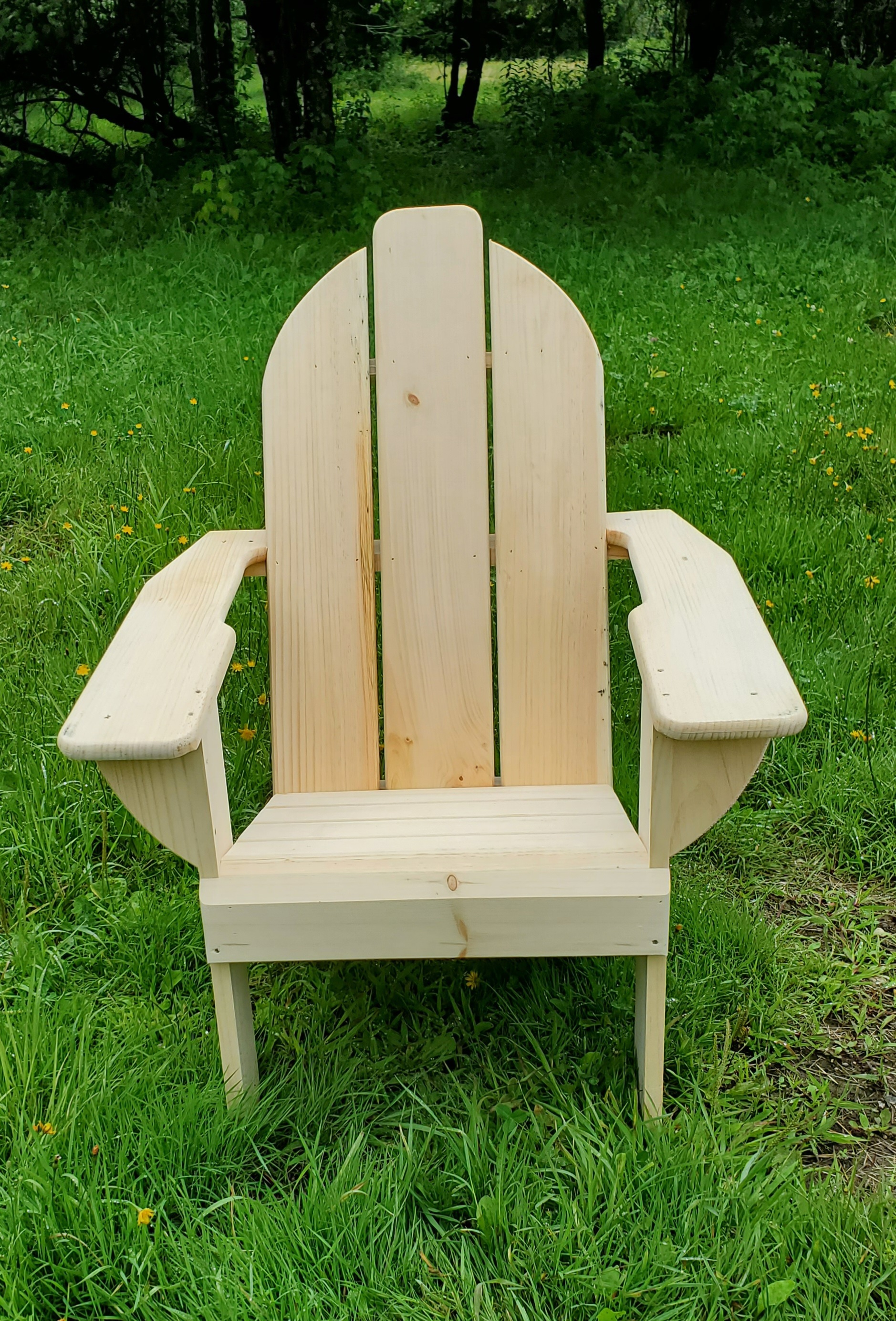 Iconic Adirondack Chair