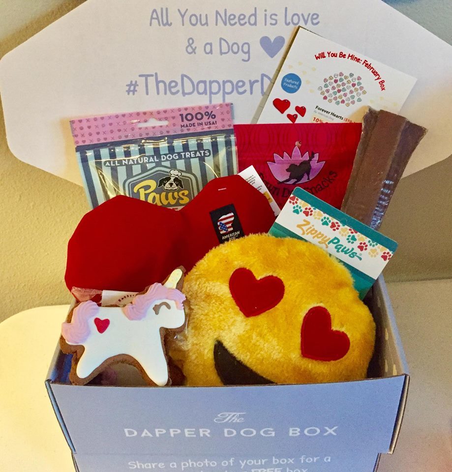 Treat your Fur Baby this Valentine's Day! Dapper Dog Box