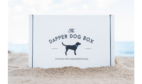Treat your Fur Baby this Valentine's Day! Dapper Dog Box