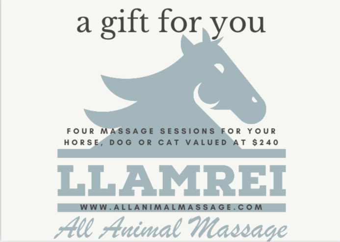 Llamrei All Animal Massage
