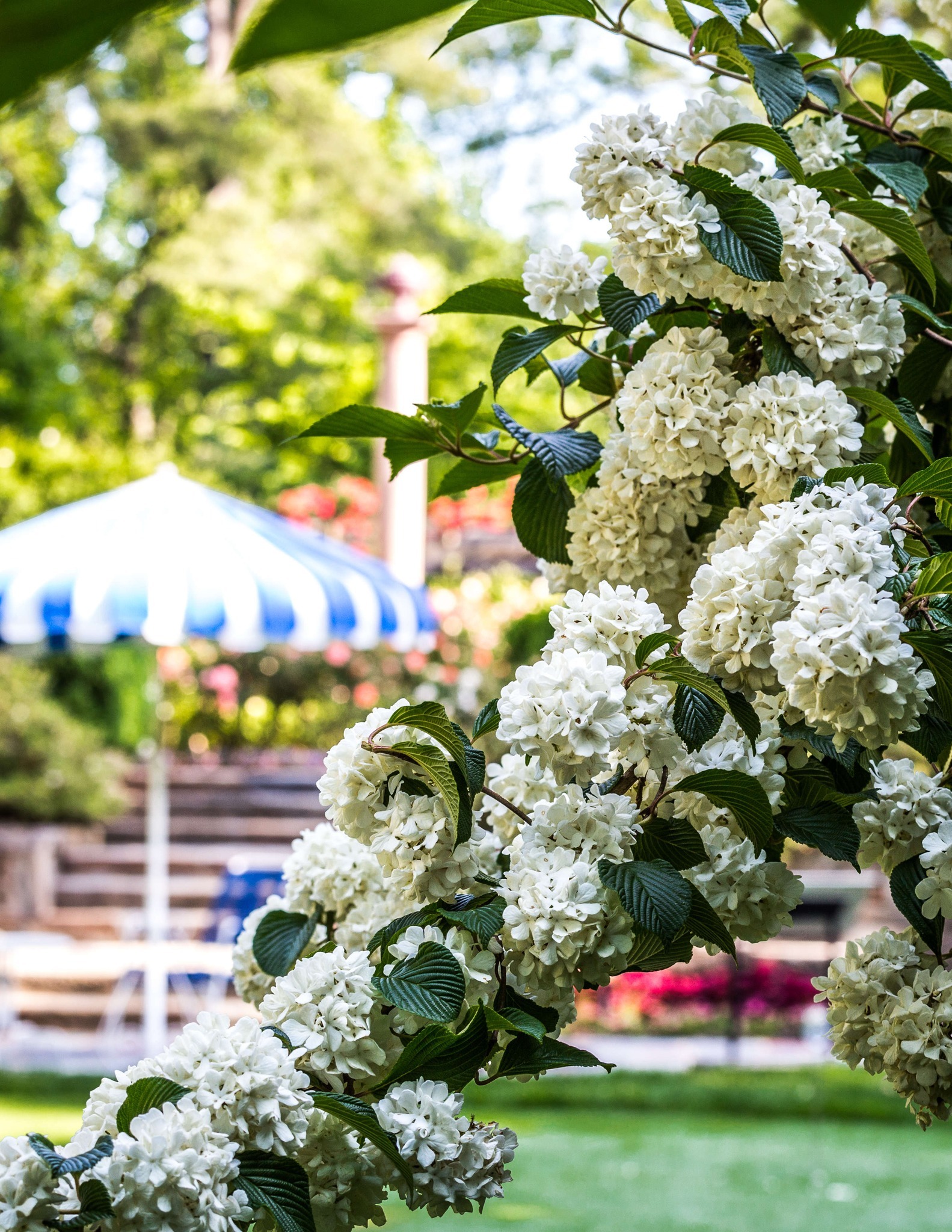 Hillwood Museum: admission for 4