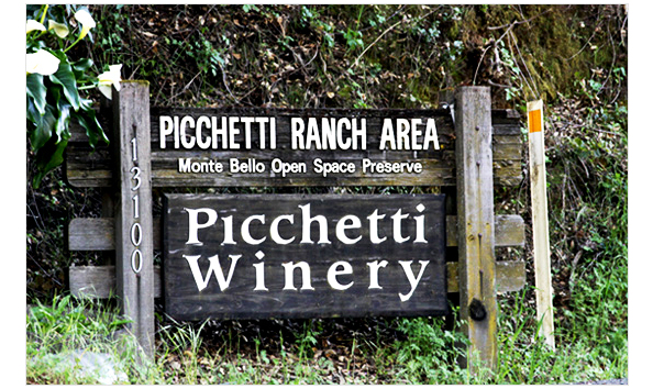 Premier Wine Tasting for 4 at Picchetti Winery