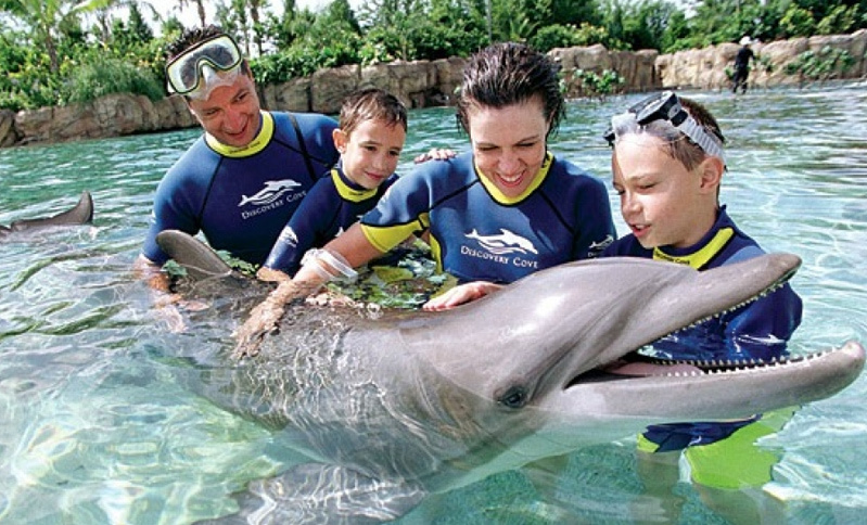 Discovery Cove: 2 Tickets for Dolphin Swim Day Resort Package