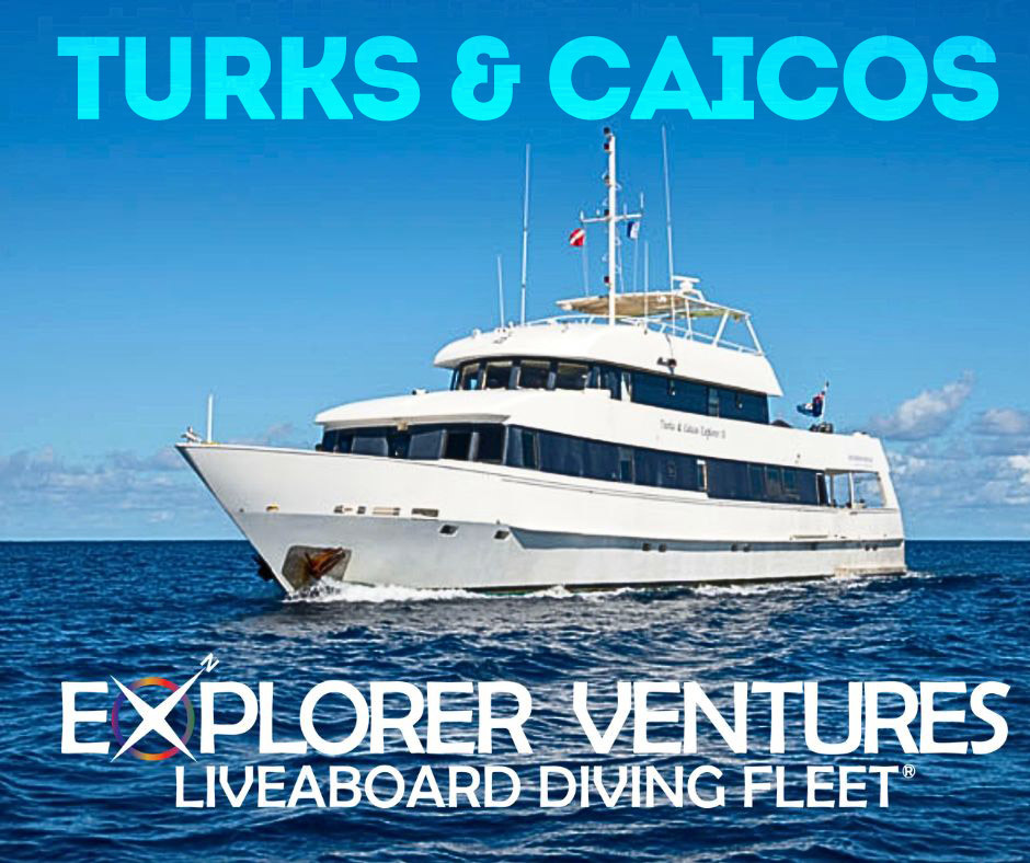Turks & Caicos 7-night Scuba Diving Liveaboard Excursion Aboard the ...