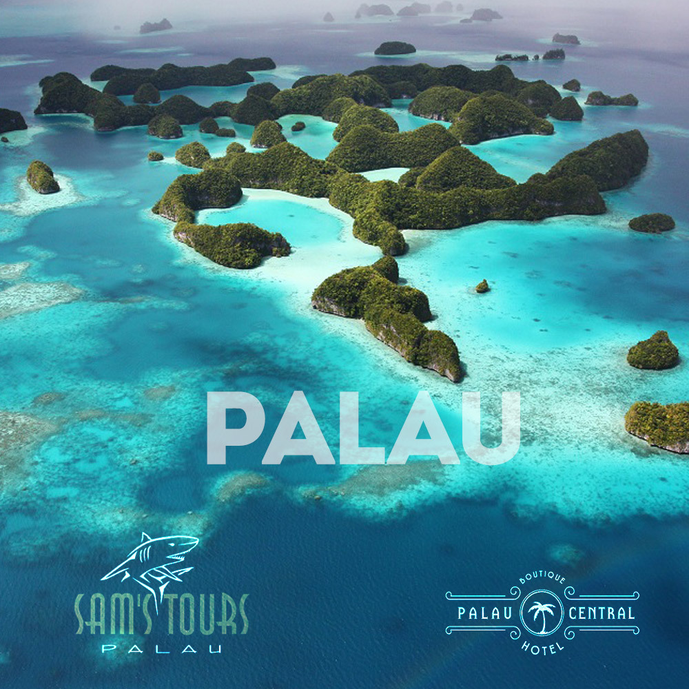 Palau- Experience Premier Diving with Sam’s Tours and Palau Central Hotel