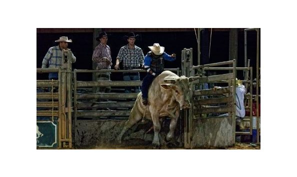 Westgate River Ranch Resort & Rodeo: 3 Night Stay in One Bedroom Unit ...