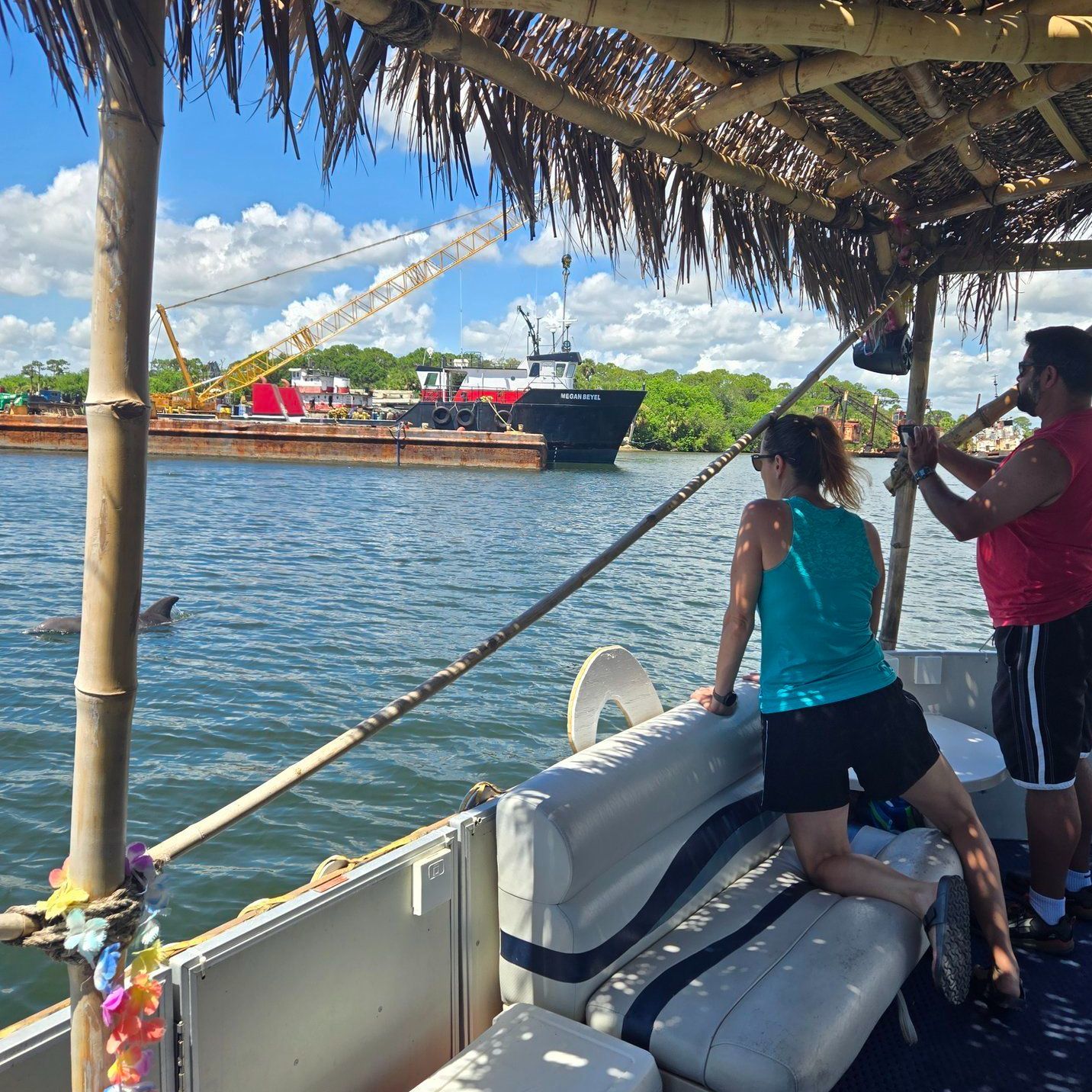Cruise Cocoa Sightseeing Tours: Dolphin, Sunset, Rocket Launches ...