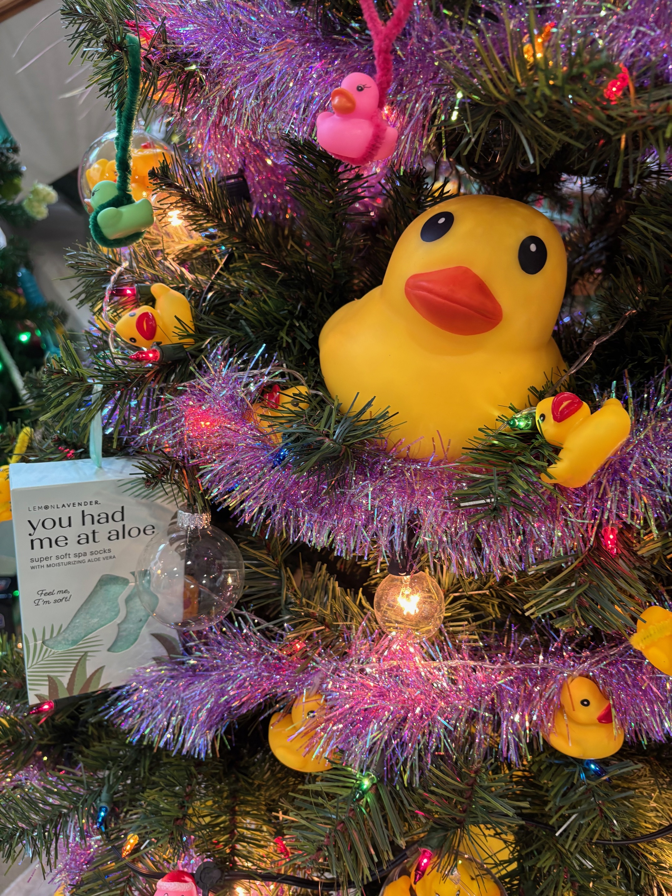 Just Ducky!