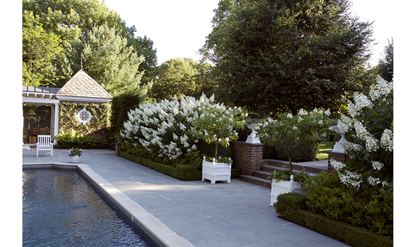 Private Garden Tour at Sleepy Cat Farm in Greenwich