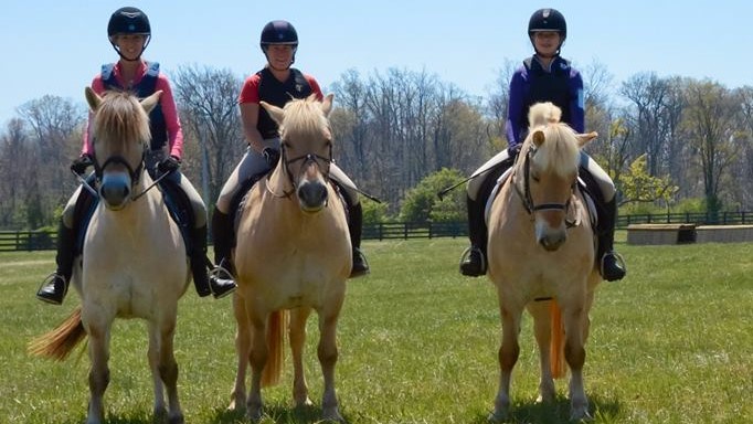 English Group Riding Lesson at Ironwood Farm