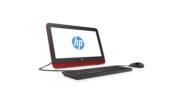 HP All-in-One 20" Computer
