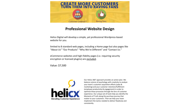Professional Website Design