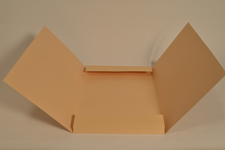 Archival Folders for Herbarium