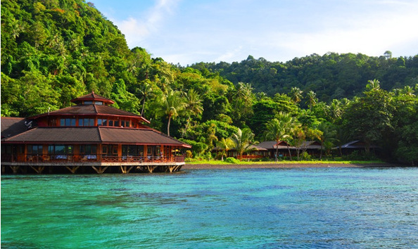 Discover new species in amazing Lembeh Strait.