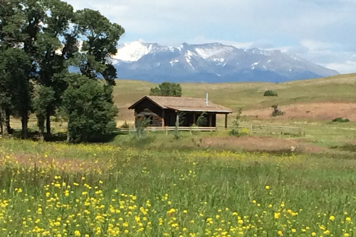 Explore a Working Montana Ranch
