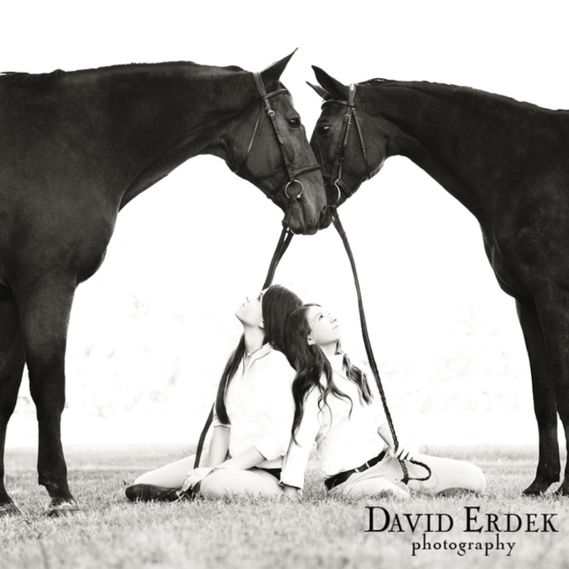 David Erdek Photography: Portrait Shoot & Print