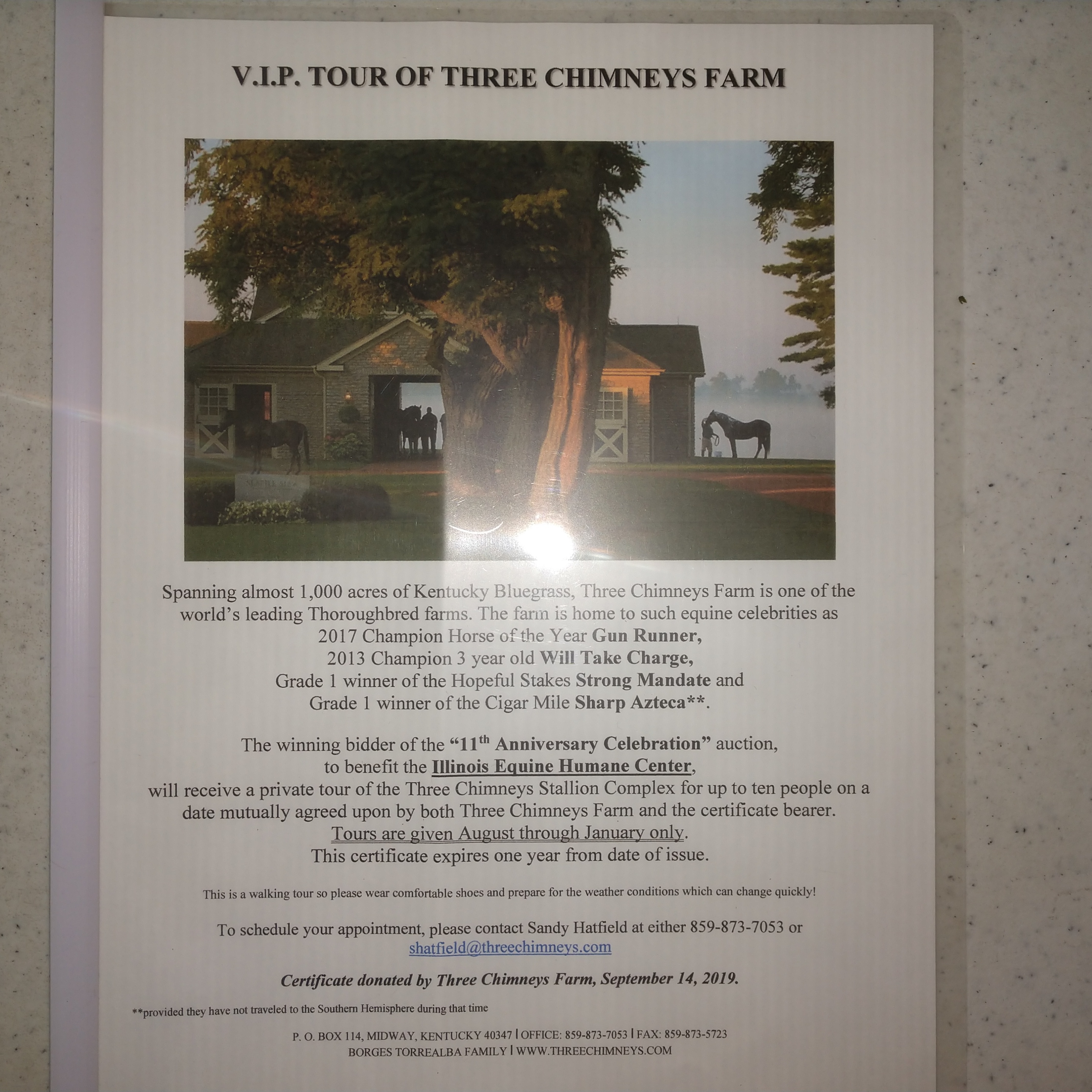 Three Chimneys V.I.P. Private Stallion Farm Tour!