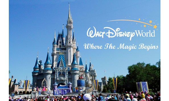 Walt Disney World One Day Park Hopper Tickets- 4