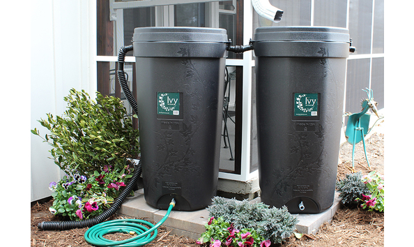 Rain Barrel #1 (Raleigh)