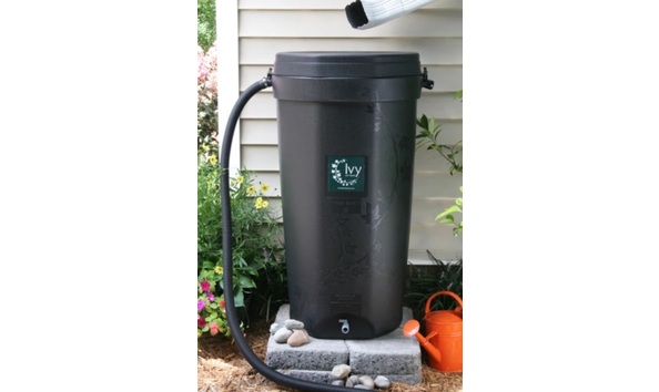 Rain Barrel #1 (Raleigh)