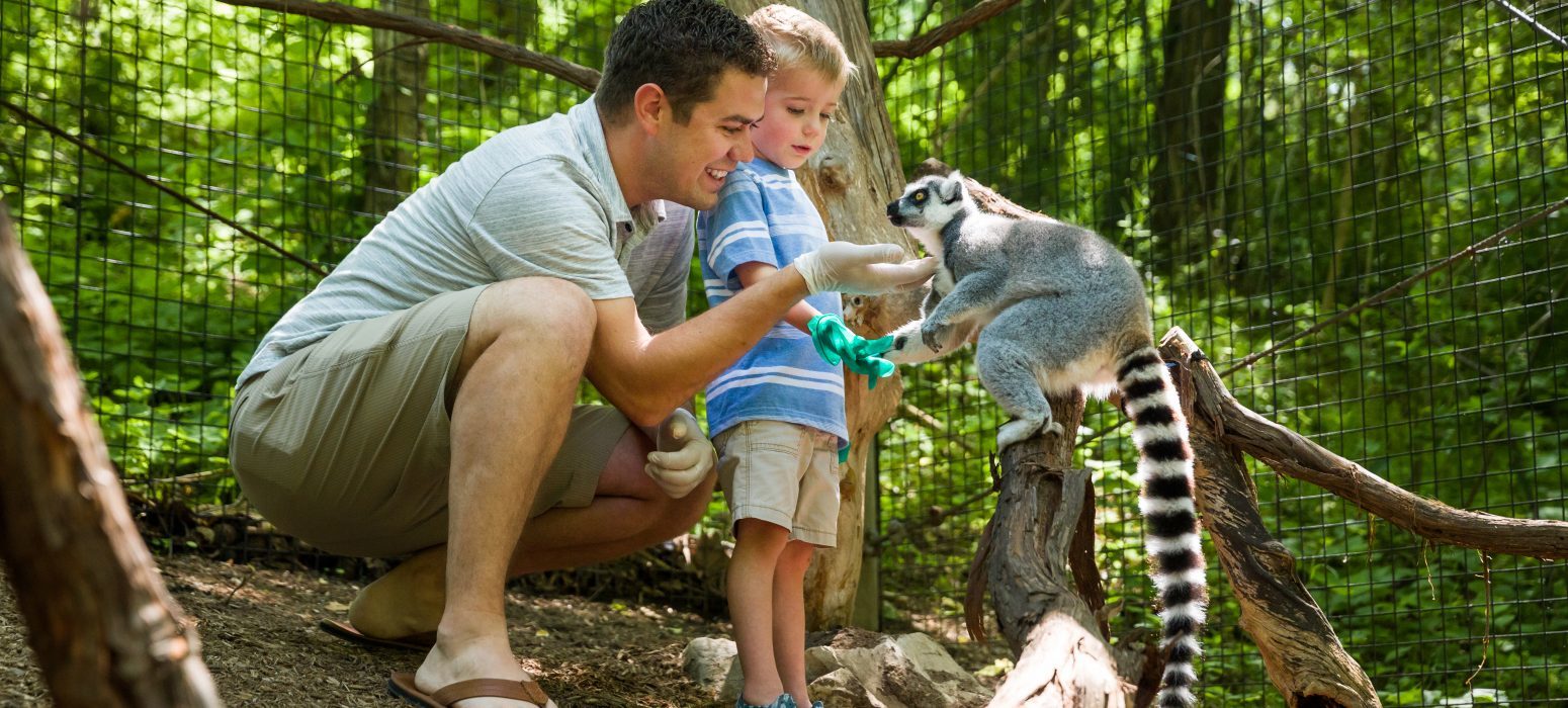 Experience Wheeling!