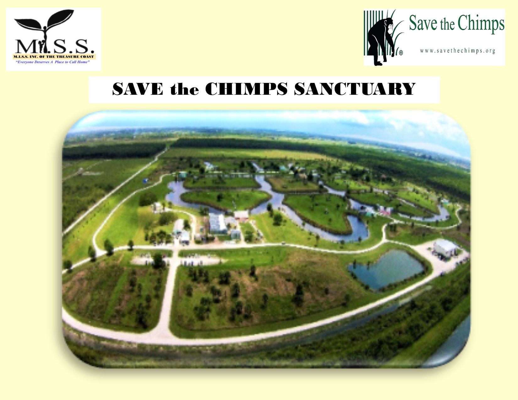 Save The Chimps Private Tour And Lunch