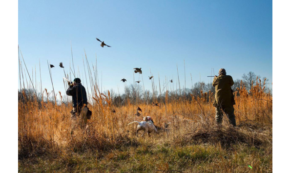 Prairie Wildlife Quail Hunt for 4 plus food and overnight accommodations