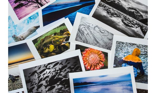 Jason Bradley Photographic Print