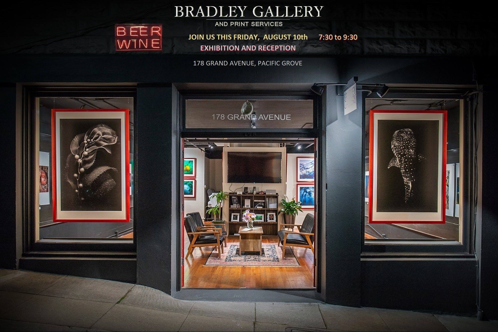 Jason Bradley Photographic Print