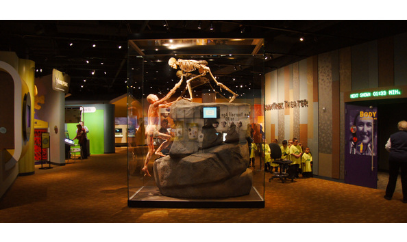 4 Tickets to Denver Museum of Nature & Science