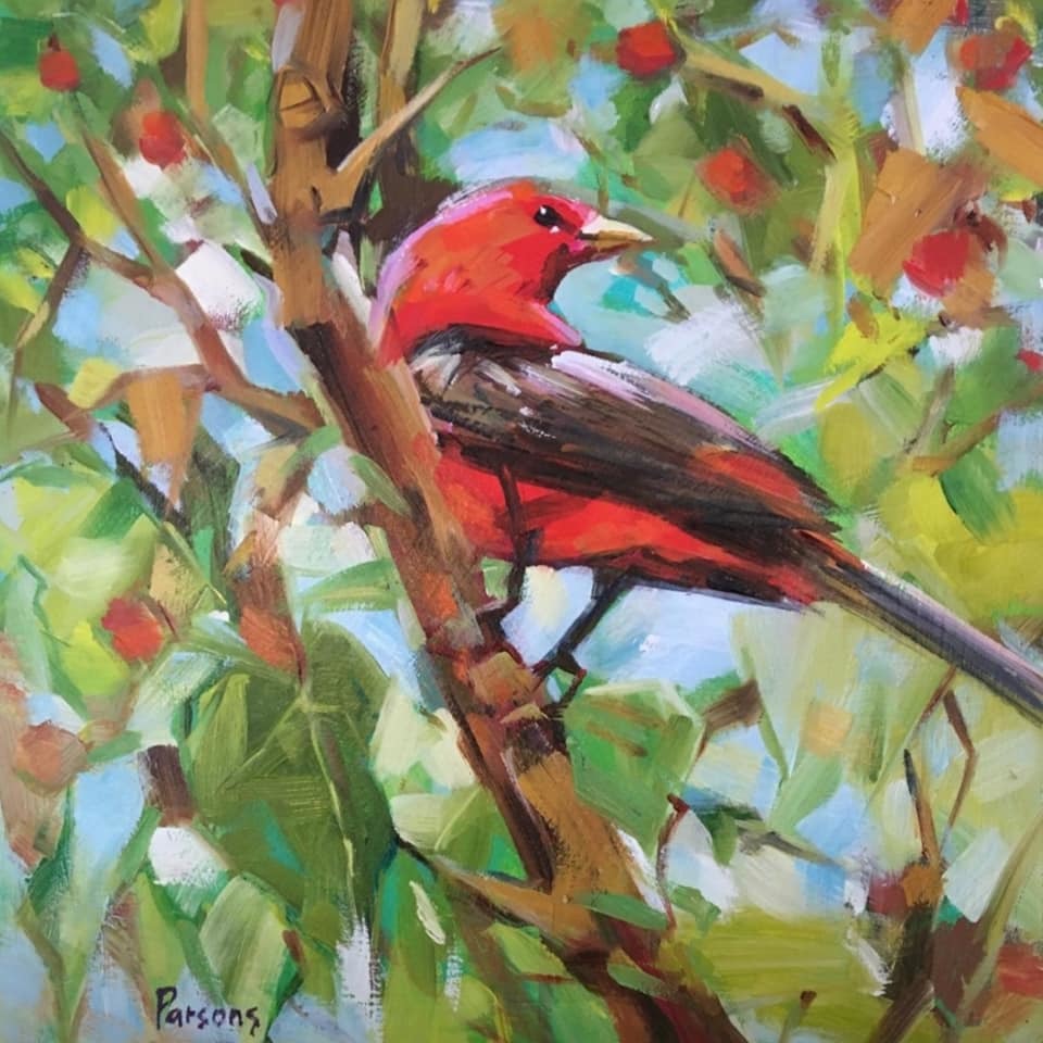 Cassandria Parsons - Vermillion Fly Catcher