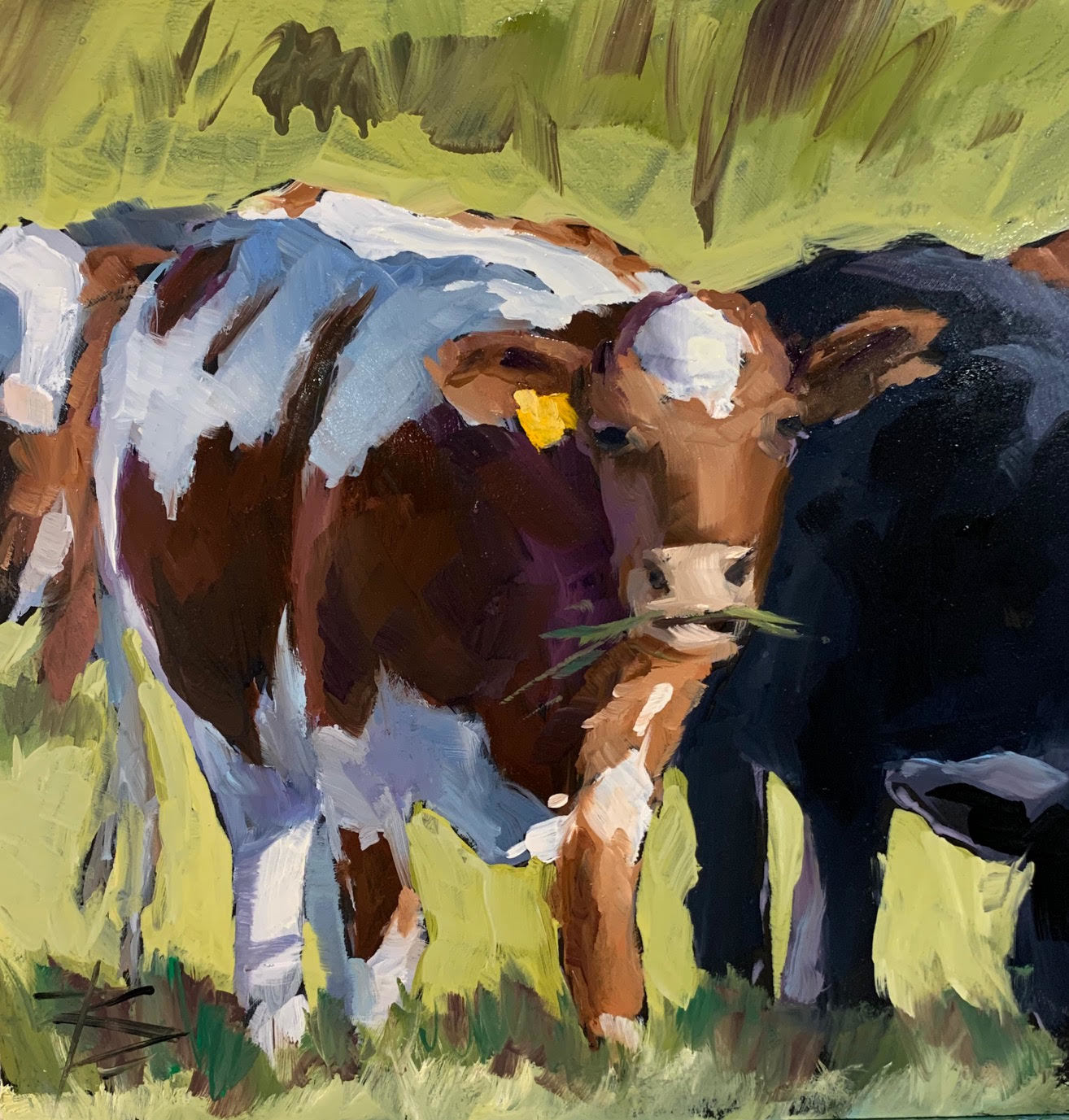 Scott Bevan - How Now