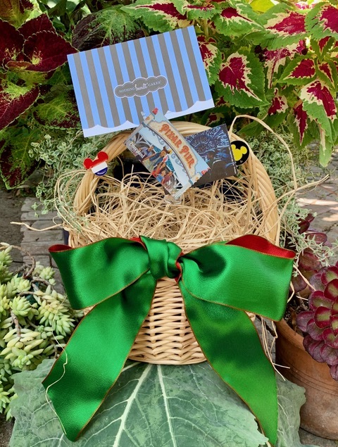 Raffle: Two Disneyland Hopper Passes Plus