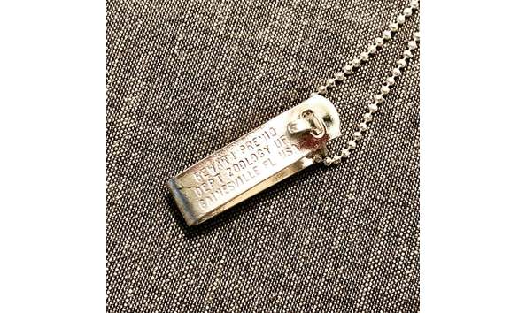 Silver sea turtle flipper tag necklace