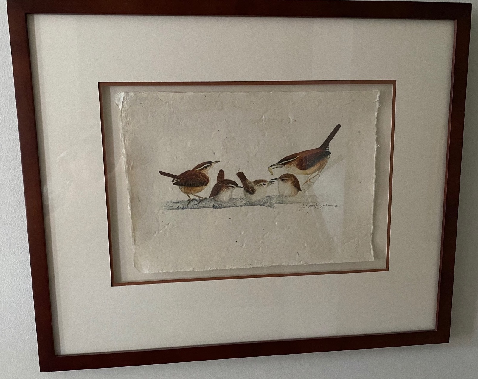 Bruce Bunch Watercolor of Carolina Wrens