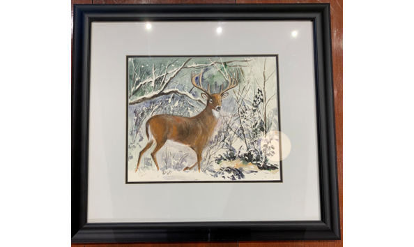 Watercolour painting of Winter Deer - Helen Hall