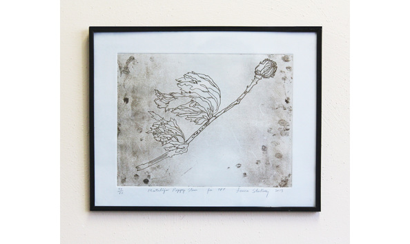 Matilija Poppy Stem by Laura Stickney